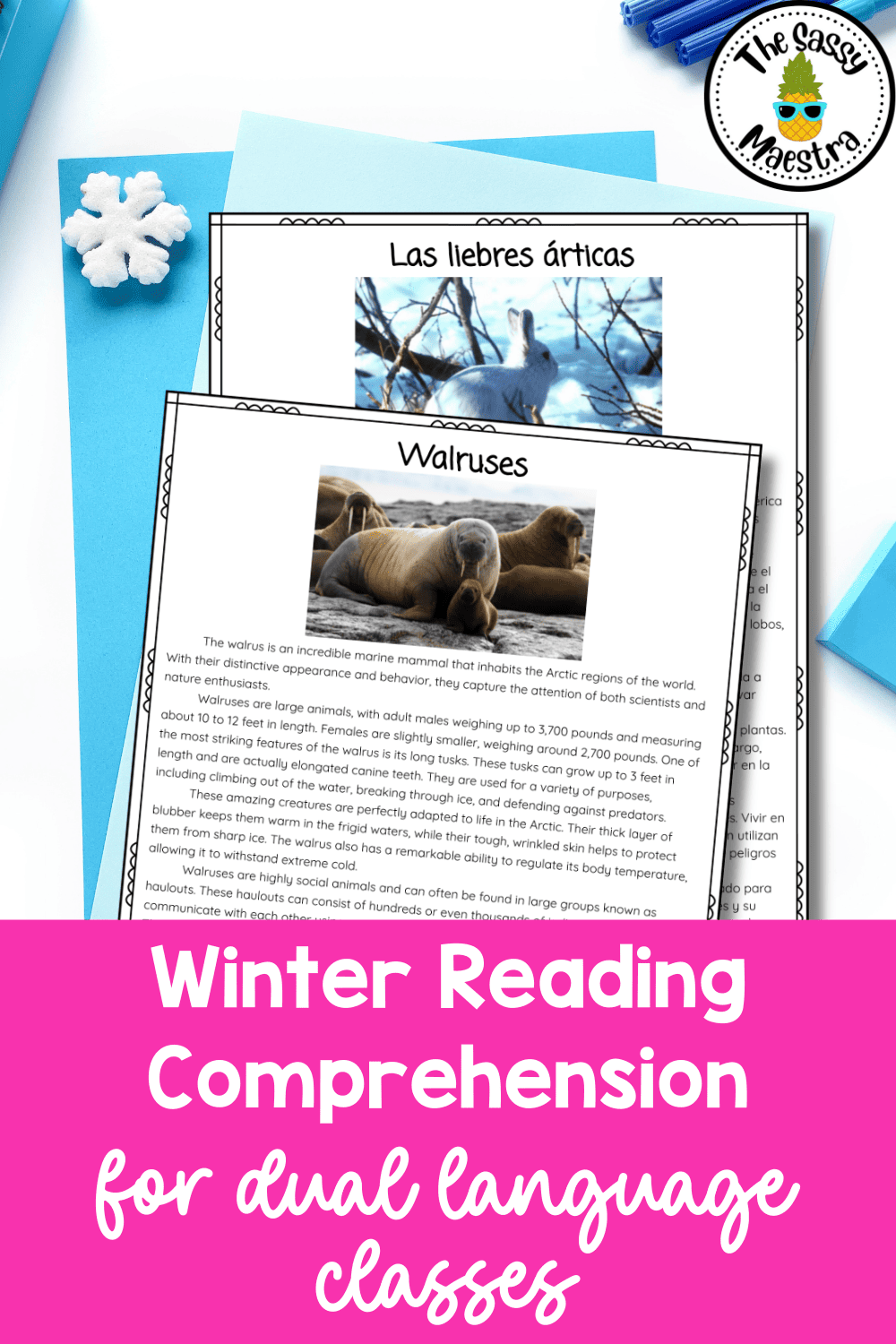 No Prep Winter Reading Comprehension for Dual Language Classes - The ...
